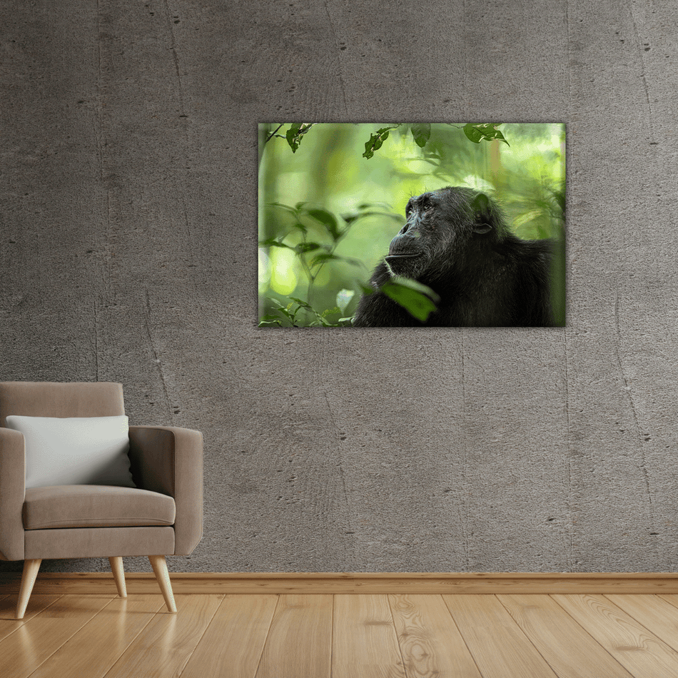 Leinwand – Mission Erde Photo