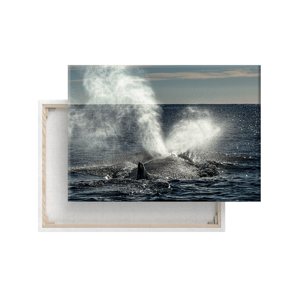 Leinwand Wasser – Mission Erde Photo