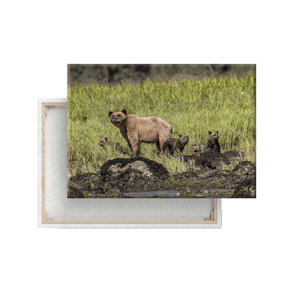 Leinwand – Mission Erde Photo