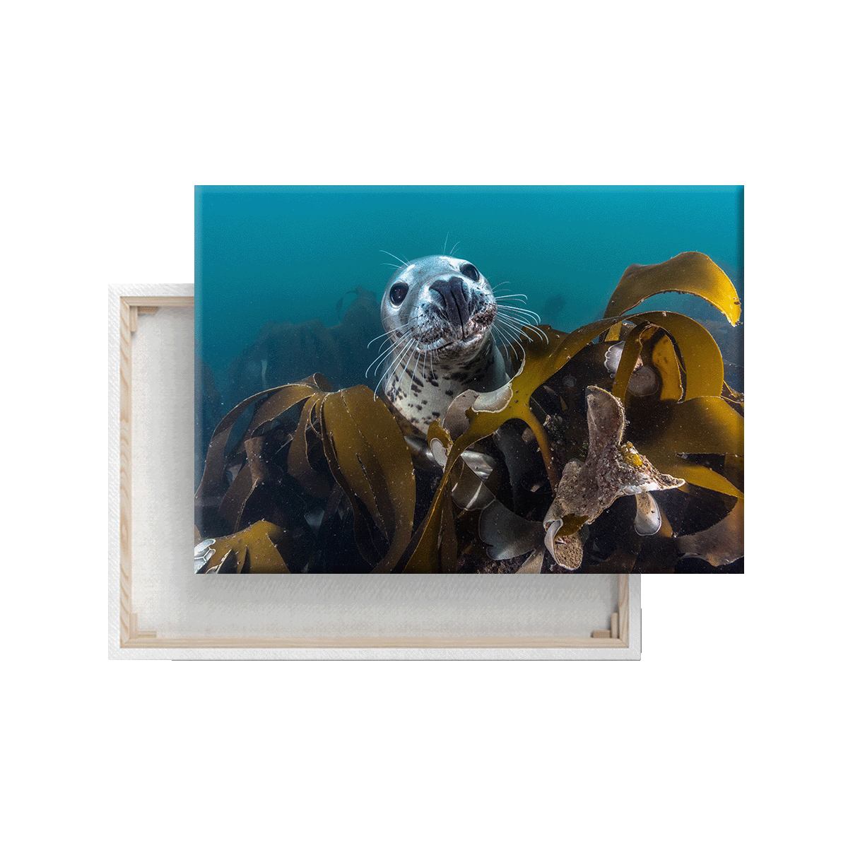 Wasser – Mission Erde Photo